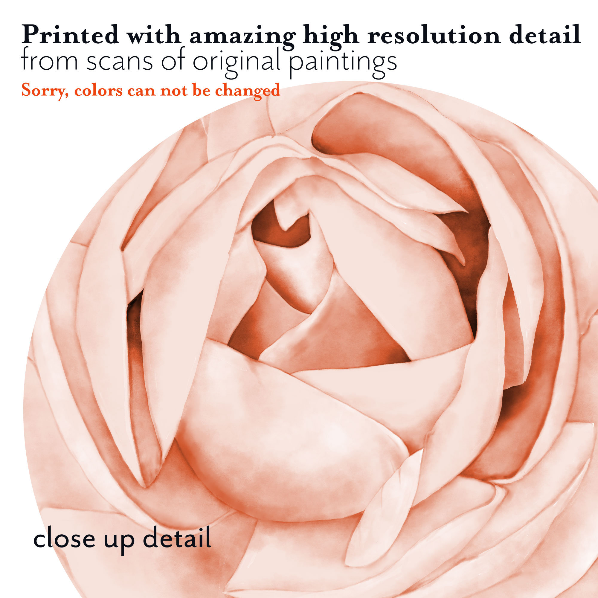 Pink Roses Floral Wall Decals For Nursery Floral Wallpaper | Etsy