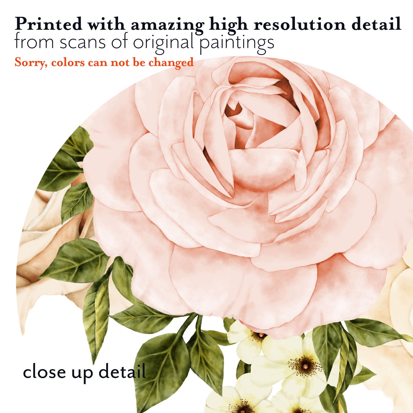 Floral Wall Decals Soft Pink and Cream Roses With Flowering - Etsy