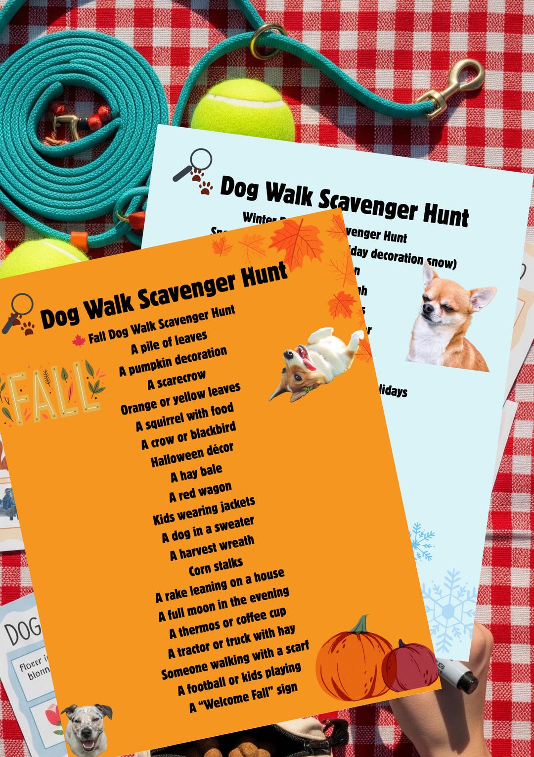 Dog Walk Scavenger Hunt Printable Bundle: 5 Seasonal Outdoor Games ...