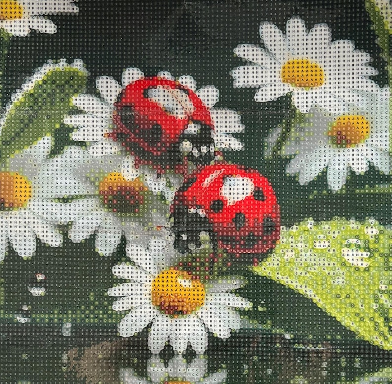 DIY 5D Ladybug and Flowers Diamond Art, 12x12" - Etsy