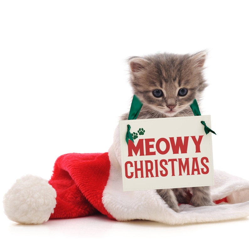 Meowy Christmas Kitten Surprise Sign Merry Christmas Cat Paw Etsy