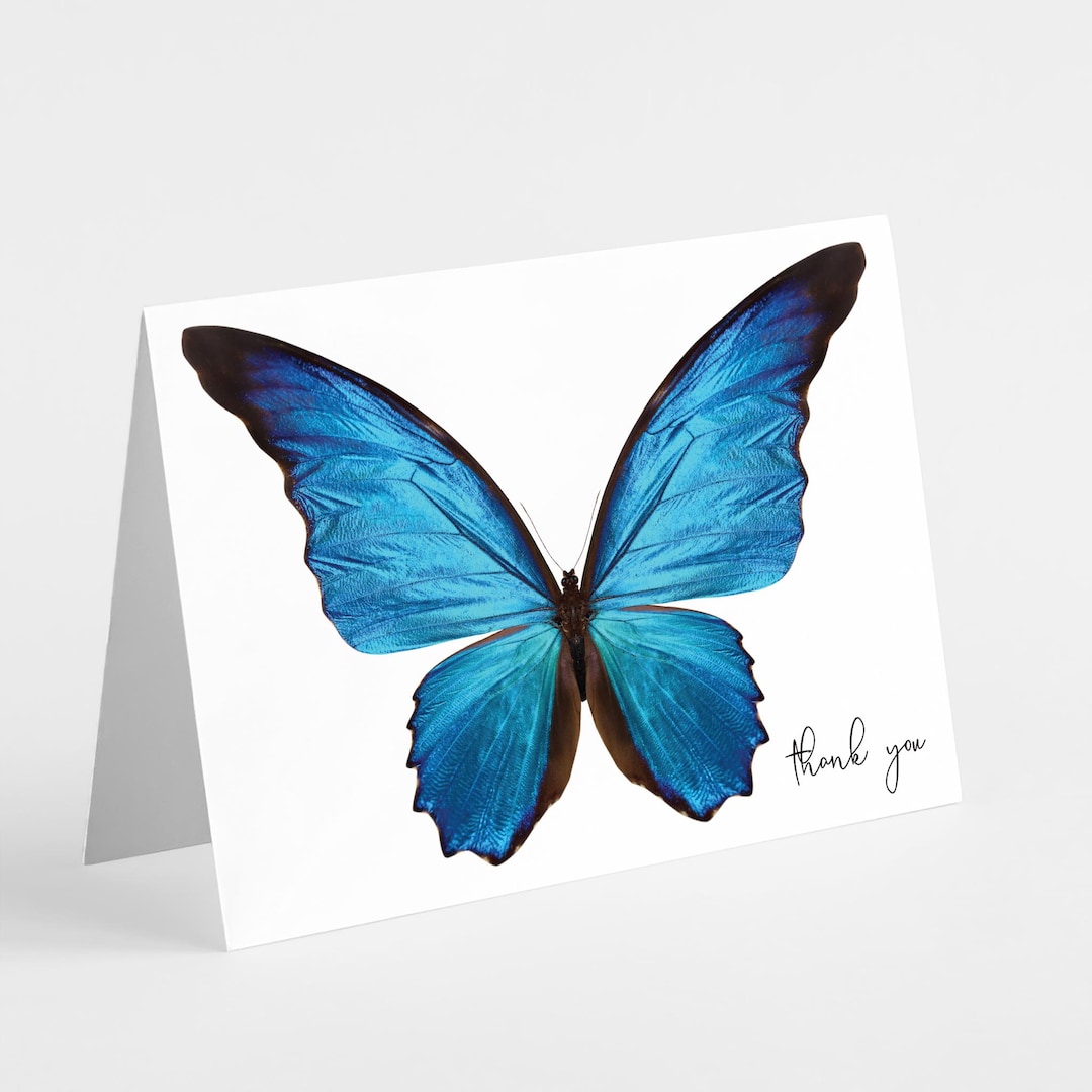 24 Blue Butterfly Thank You Cards With White Envelopes - Elegant Nature ...