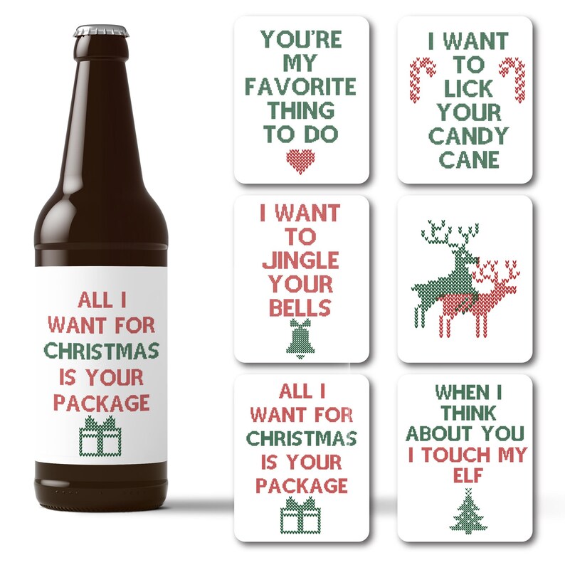 6 Naughty Christmas Beer Labels for Him 6-pack Funny Dirty - Etsy