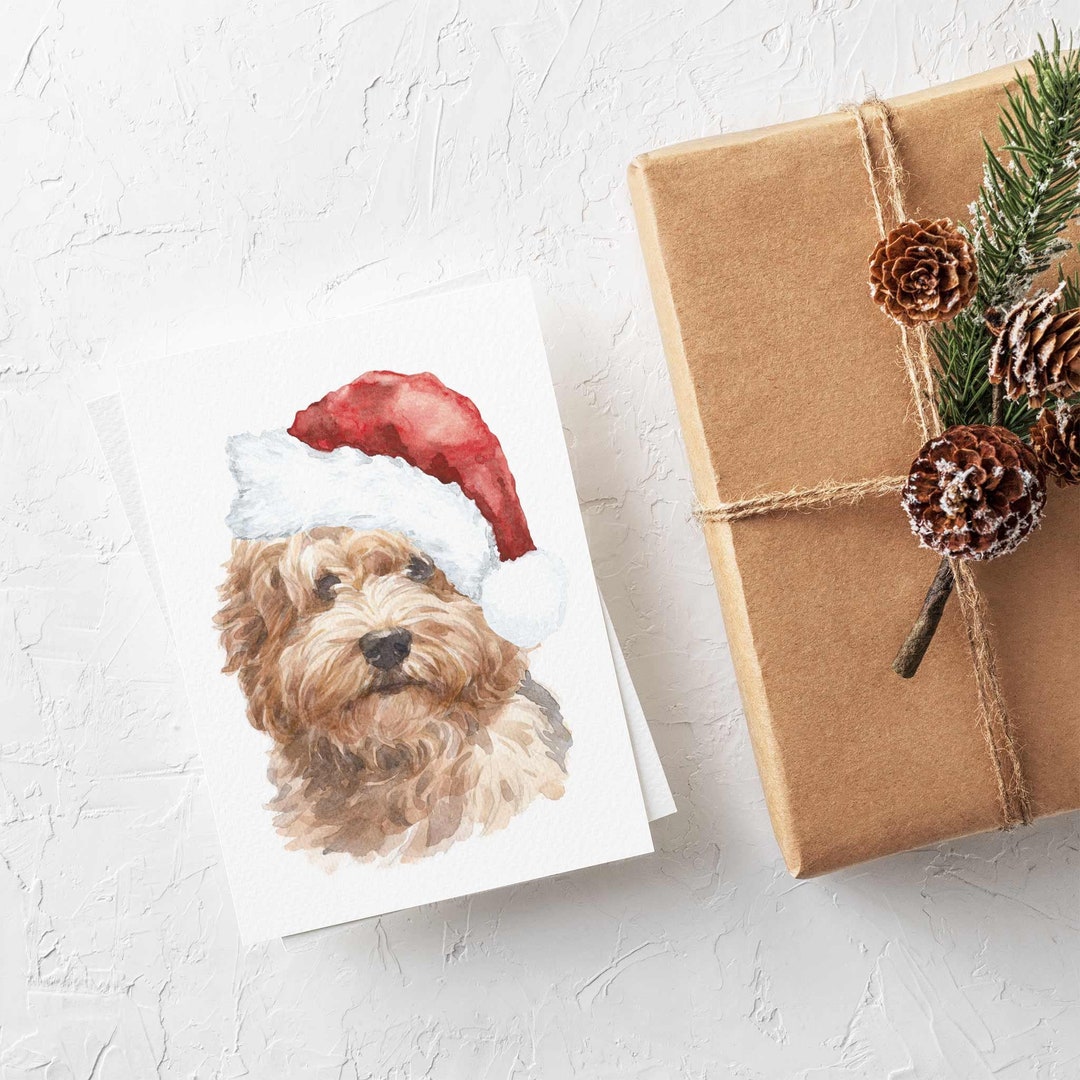 24 Dog Christmas Cards Labradoodle Greetings Cards + Envelopes Box Set ...