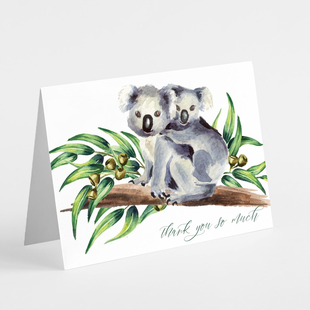 24 Koala Thank You Card Watercolor Appreciation Note Wildlife Greetings ...
