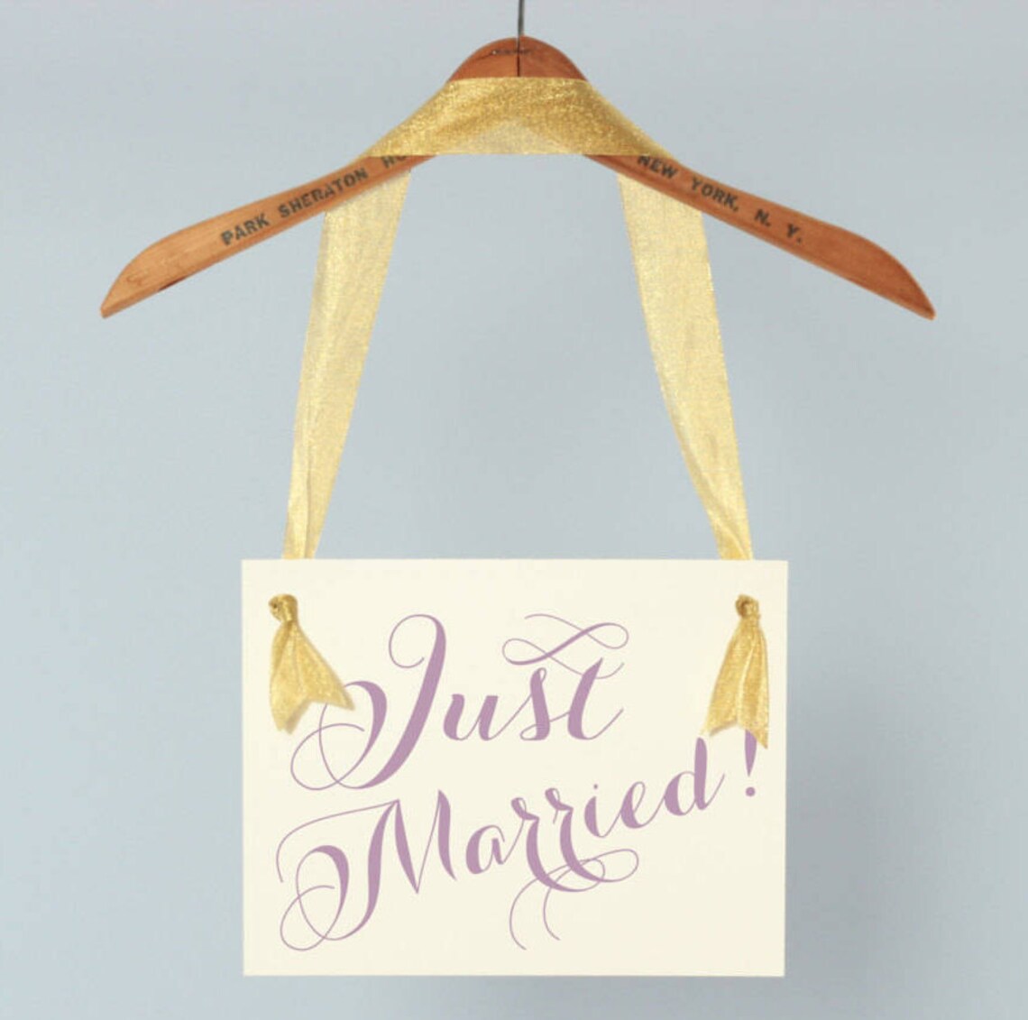 Just Married Hanging Wedding Sign Flower Girl Ring Bearer | Etsy