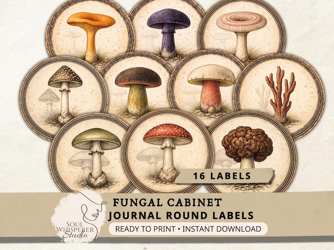 Poisonous Mushroom Labels, Printable Fungi Jar Tags, Toxic Botanical ...