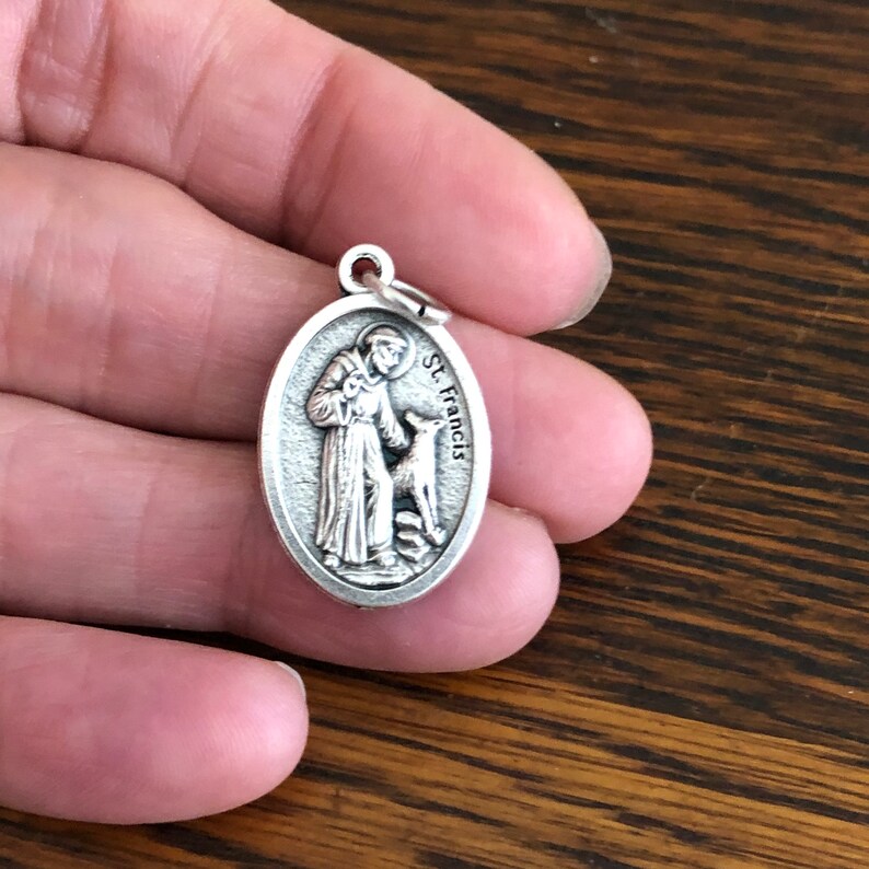 St Francis Medals Catholic Patron Saint of Animals Pet Tag - Etsy