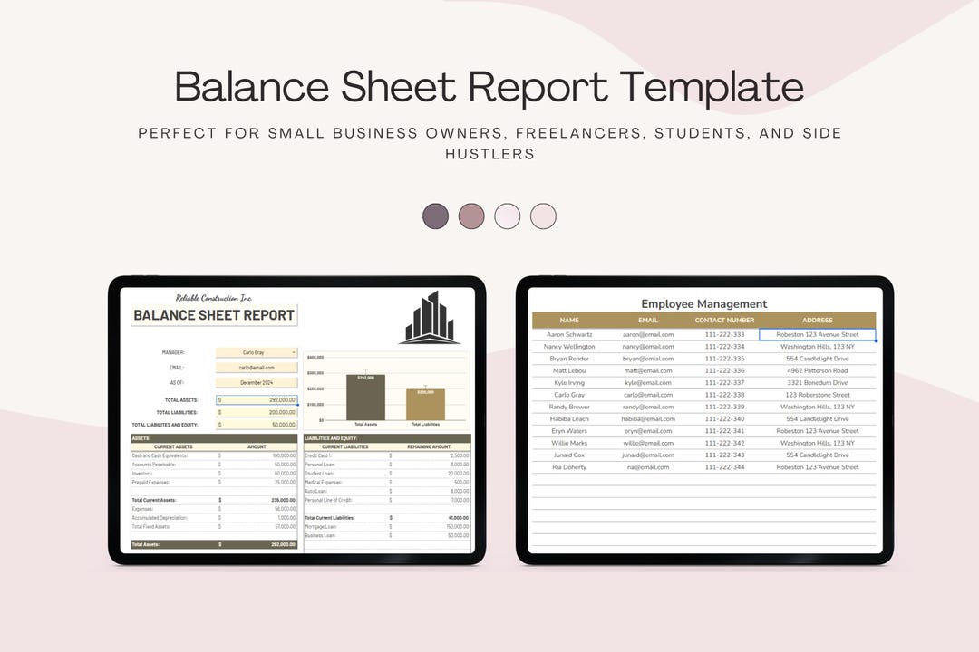 Google Sheets Balance Sheet and Employee Management Template | Business ...
