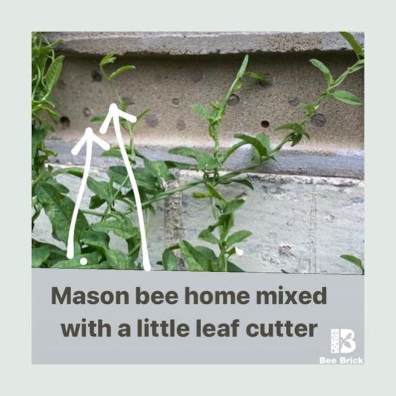 Bee Brick - A Home for Solitary Bees in Your Pollinator Garden - Etsy