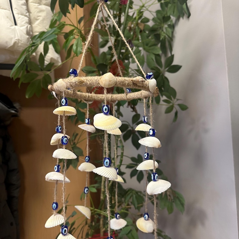Seashell Hanging - Etsy