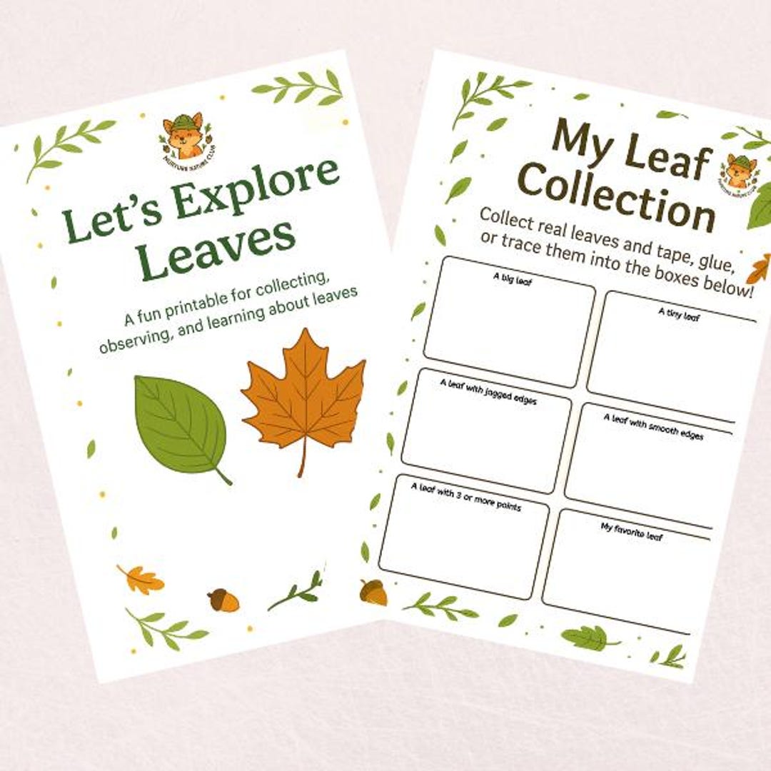 Let’s Explore Leaves! | Nature Printable for Kids | Leaf Activity Pages ...