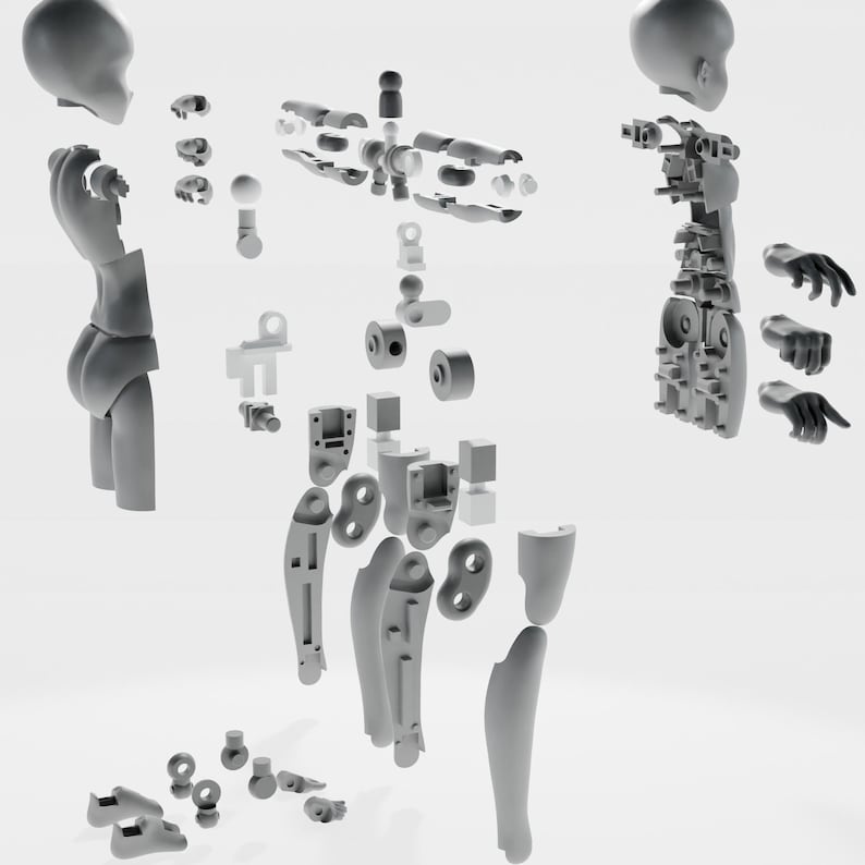 1/10 Female Body - Articulated Figure | BJD Mechanical - Ball Joint ...
