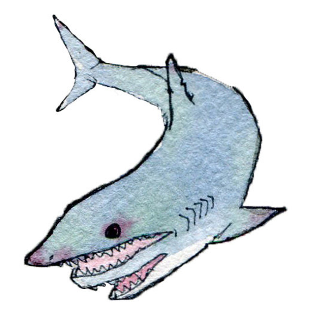 Double Jeopardy Shark Sticker - Etsy