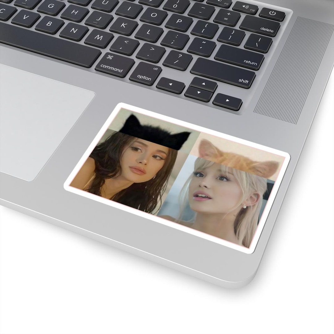Cat Girls Sticker | Neko Sticker, Funny Kiss-cut Stickers for Laptop ...