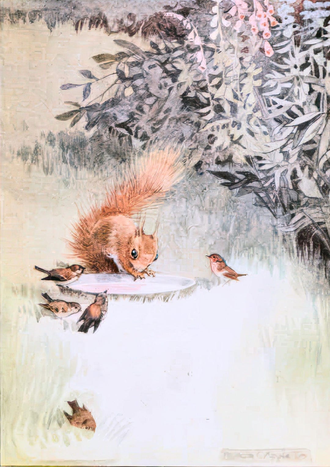 Vintage Squirrel and Birds Illustration • Honnor C. Appleton Art Print ...
