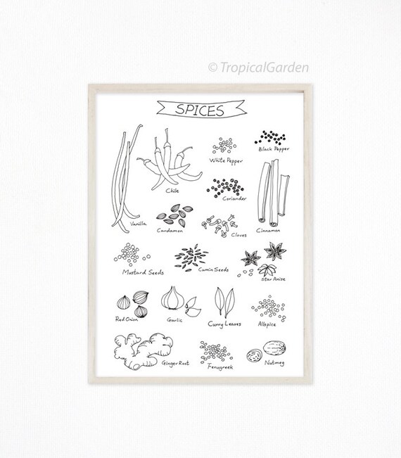 Spices Kitchen Art 8x11 Ink Illustration / Culinary Art | Etsy