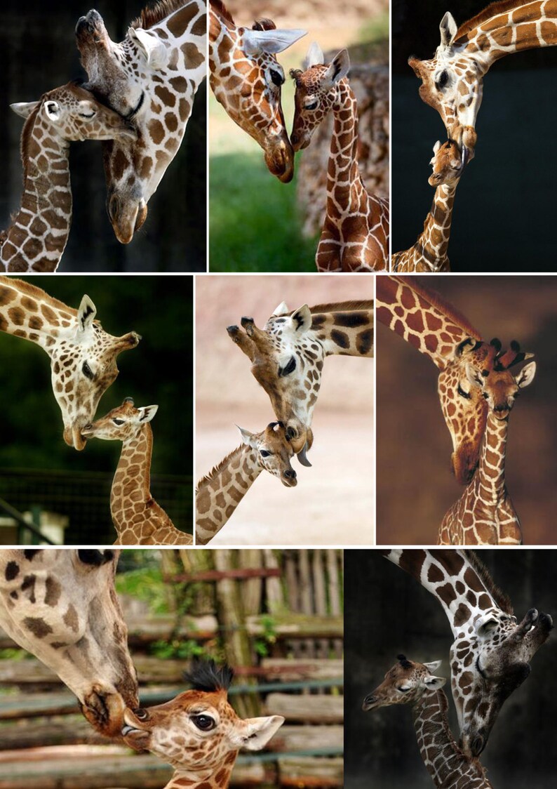 Polymer Clay Journal Tutorial - Giraffe Journal - Leather Imitation ...