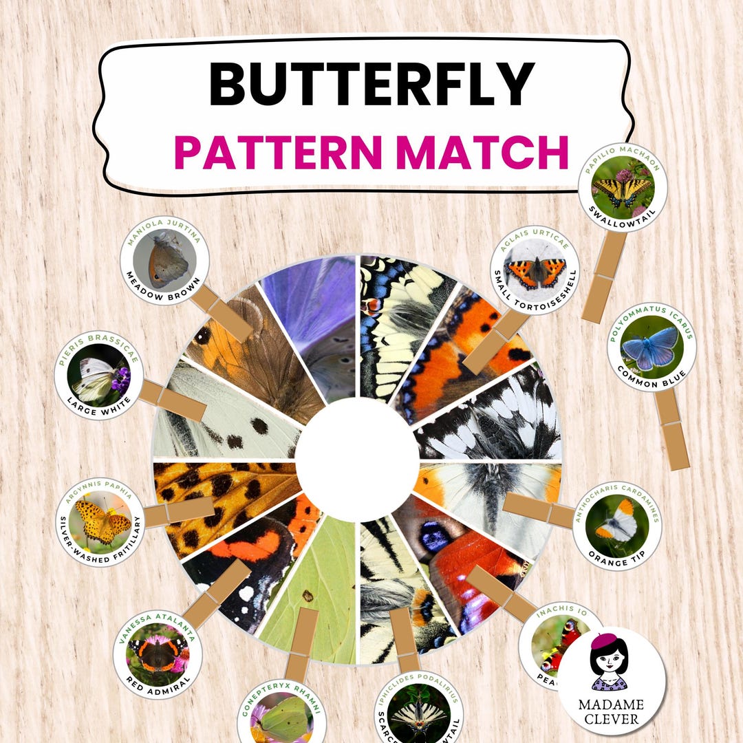 Butterfly Matching Activity | Butterfly Game | Pattern Matching ...
