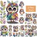 Rainbow Owlet Bird Clipart, Rainbow Spectrum Owl PNG, Owlet Instant ...