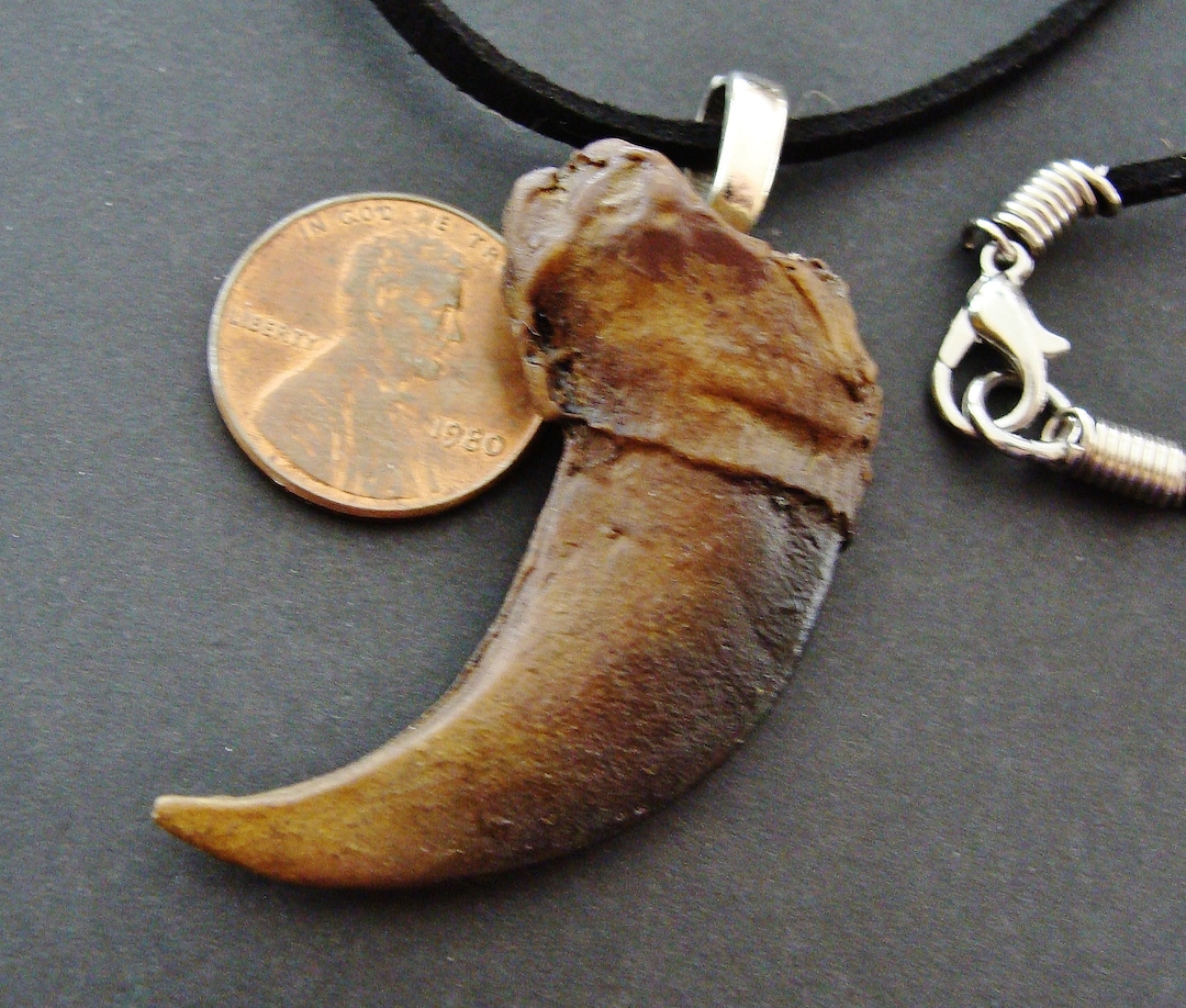 BEAR CLAW Replica Pendant Necklace JEWELRY on Black Cord - Etsy