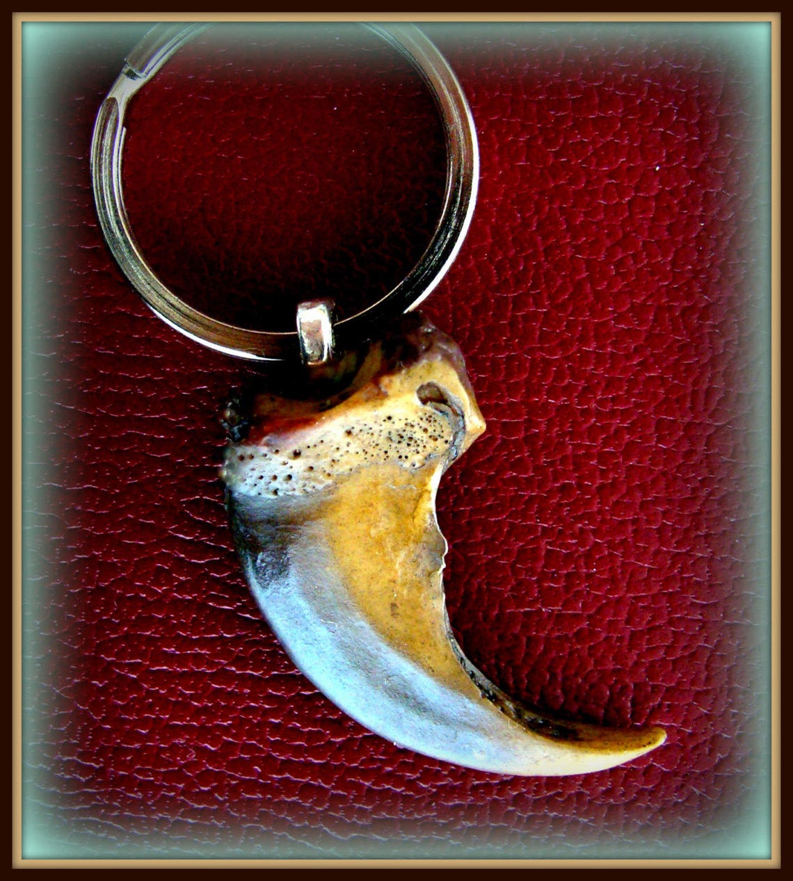 Detailed Realistic BEAR CLAW Replica Jewelry | Etsy