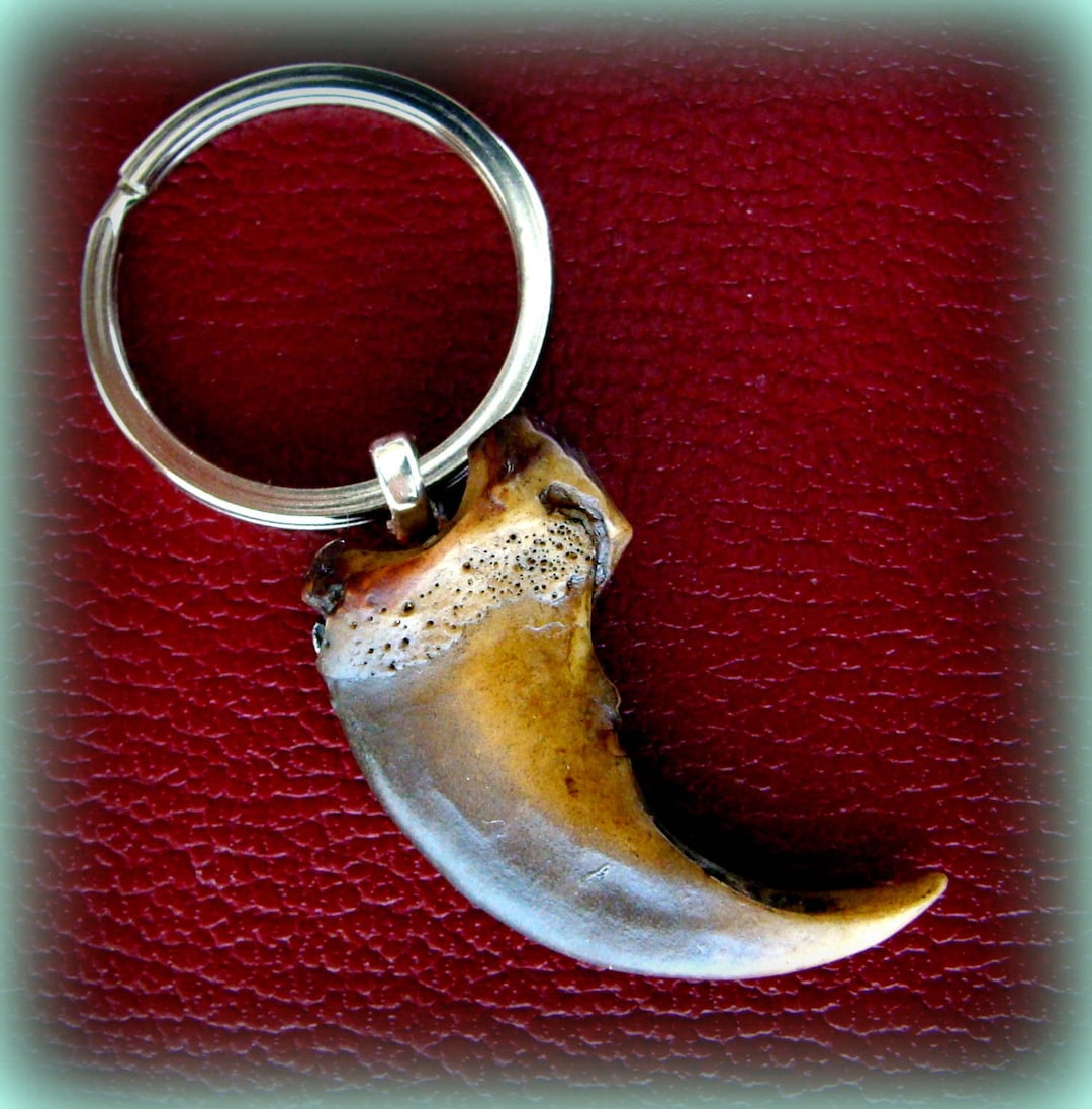 Detailed Realistic BEAR CLAW Replica Jewelry - Etsy