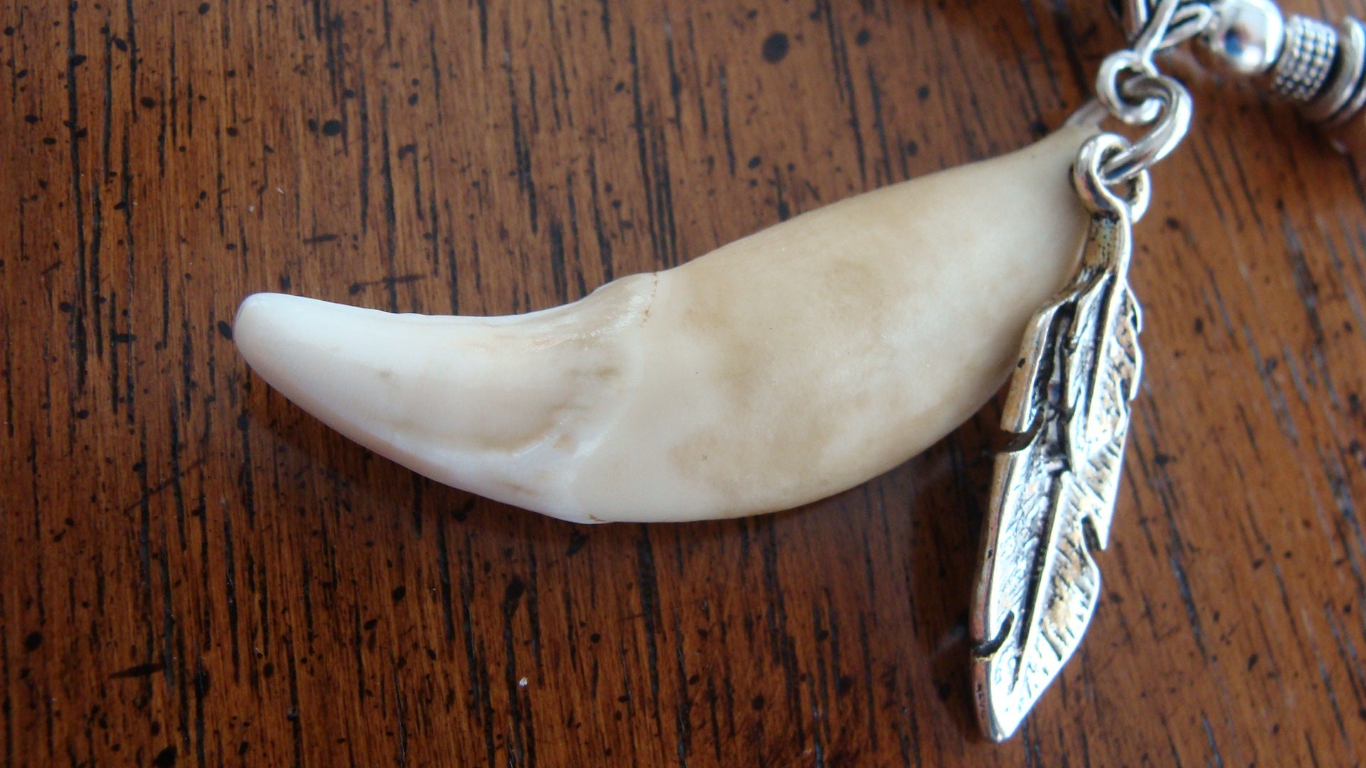 Genuine Wolf Tooth Necklace