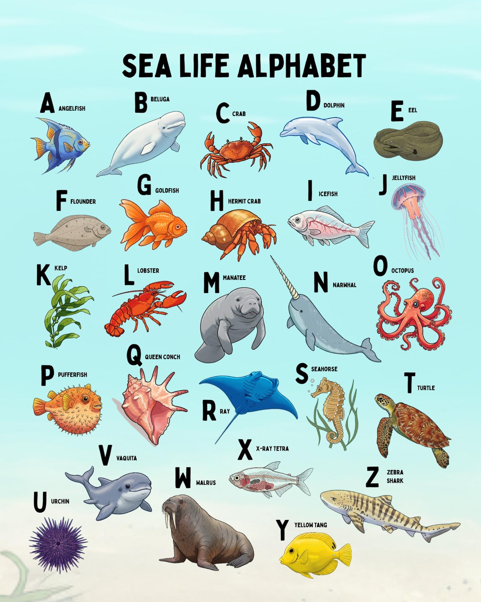 Sea Life/ocean Alphabet Digital File Wall Decor for Nursery, Child's ...