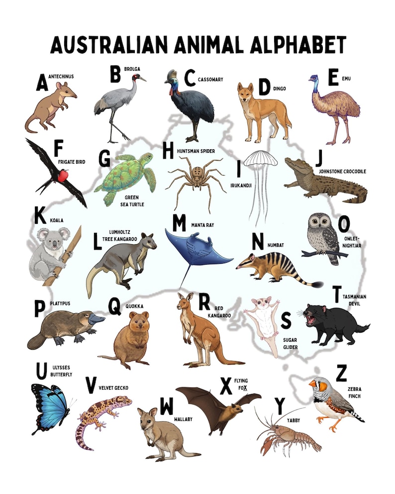 Australian Animals Alphabet Digital File Wall Decor in Nursery, Child's ...