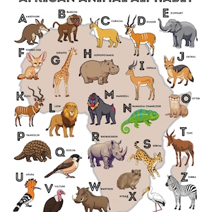 African Animals Alphabet Digital File Wall Decor in Nursery, Child's ...