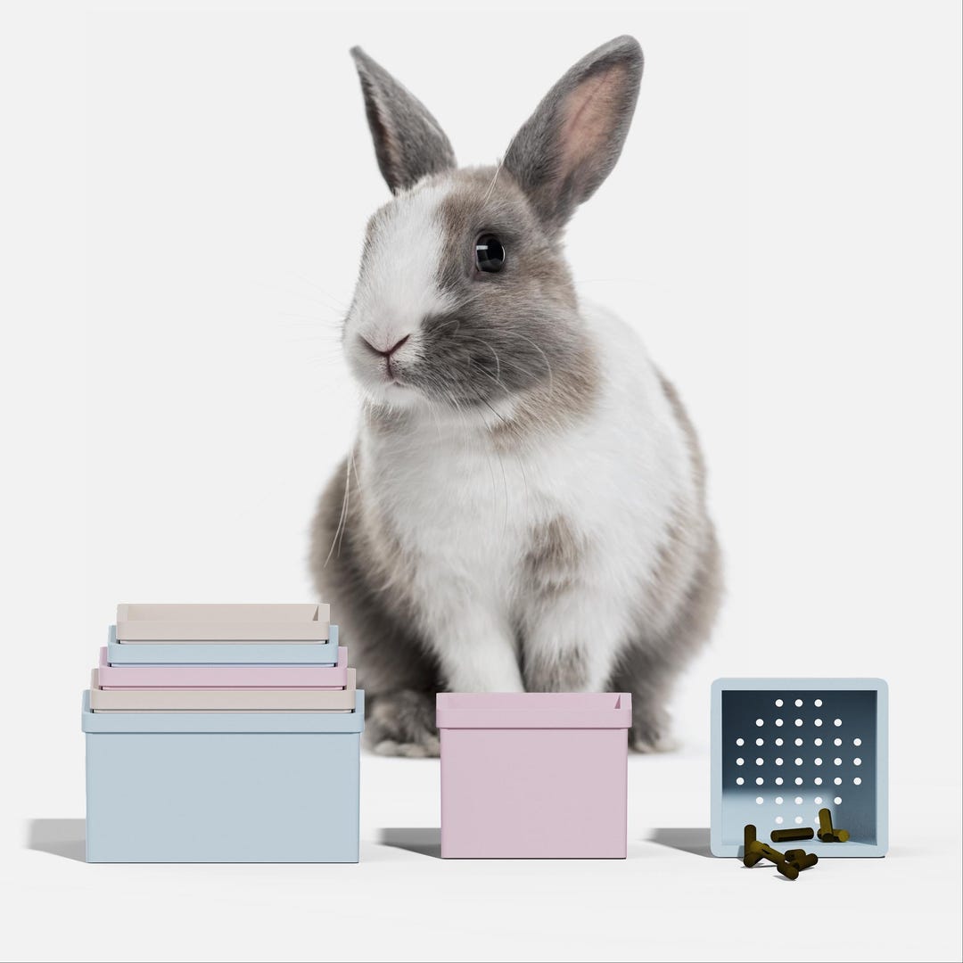 Stacking Cups for Bunny Rabbit Enrichment Toy Treat Dispenser for Small ...
