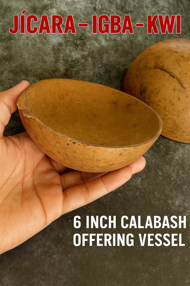 Calabash Offering Bowl: 6" Jícara Igba Kalbas Kwi - Vodou Santería ...