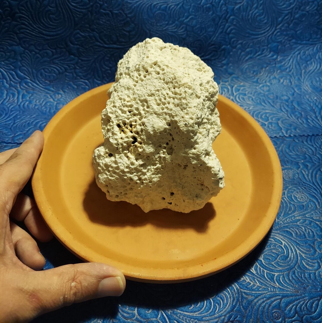 Eshu Afra Piedra Porous Sea Stone Ota Okutan for Orisha: Babalu Aye ...