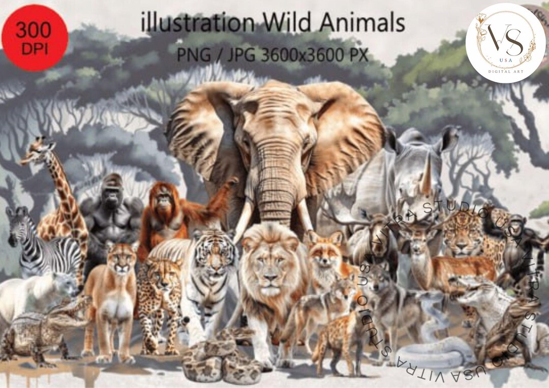 Wild Animals Digital Image Bundle - High Resolution 300 DPI PNG/JPG ...