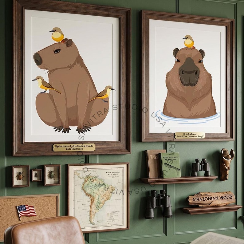 Capybara Clipart Mega Bundle, 307 Kawaii Animal Pngs for Sublimation ...