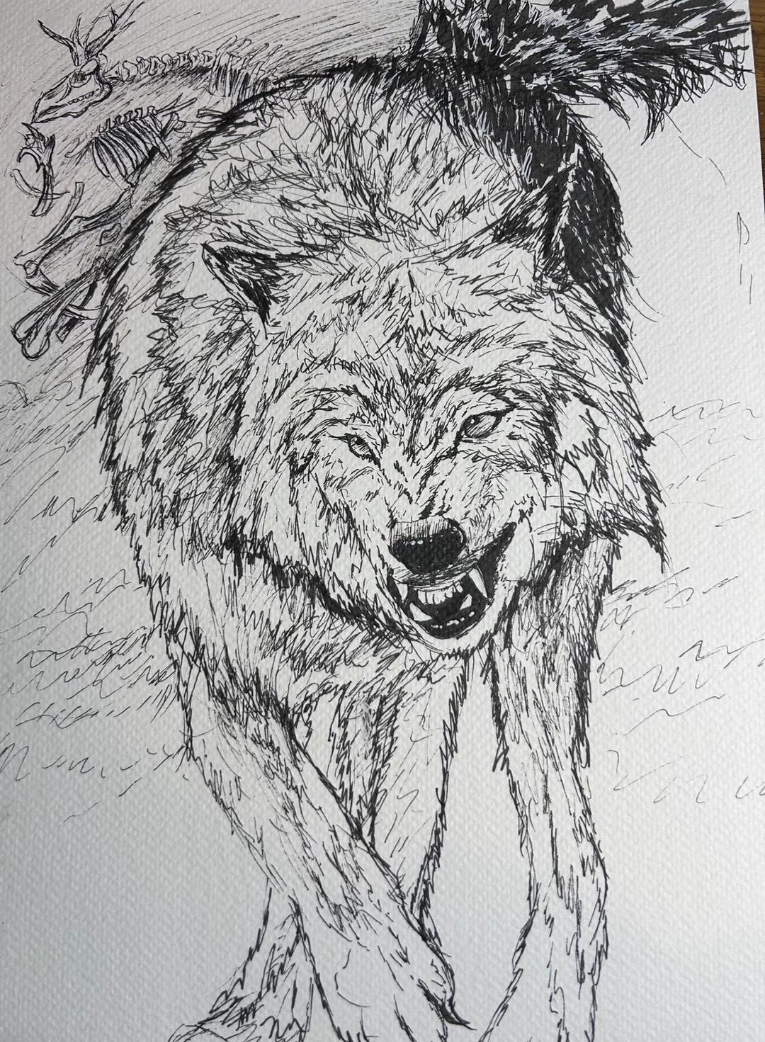 Wolf Ink Drawing - Etsy