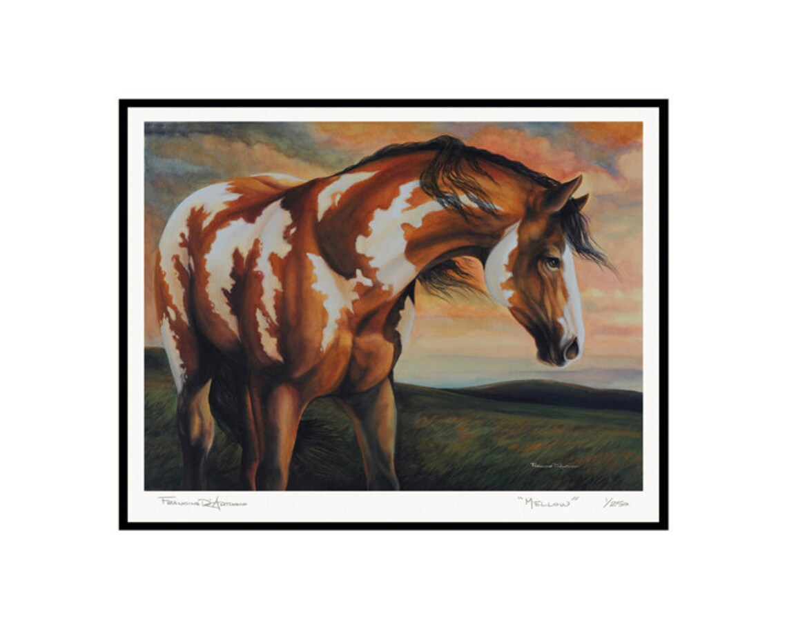 Limited Edition 16 X 20 Fine Art Print "mellow" - Etsy