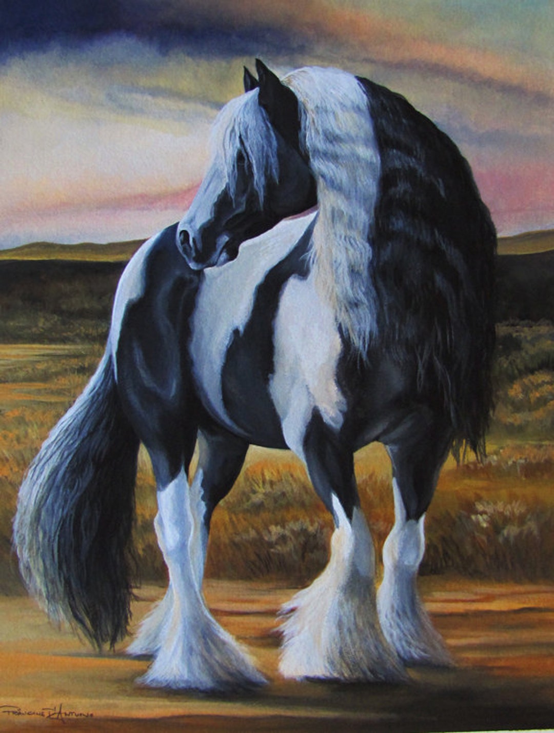 Limited Edition 16 X 20 Fine Art Print gypsy - Etsy