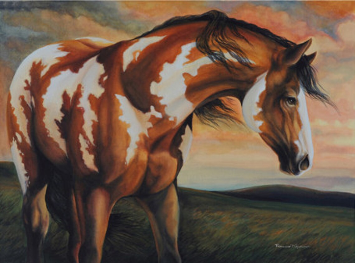 Limited Edition 16 X 20 Fine Art Print "mellow" - Etsy