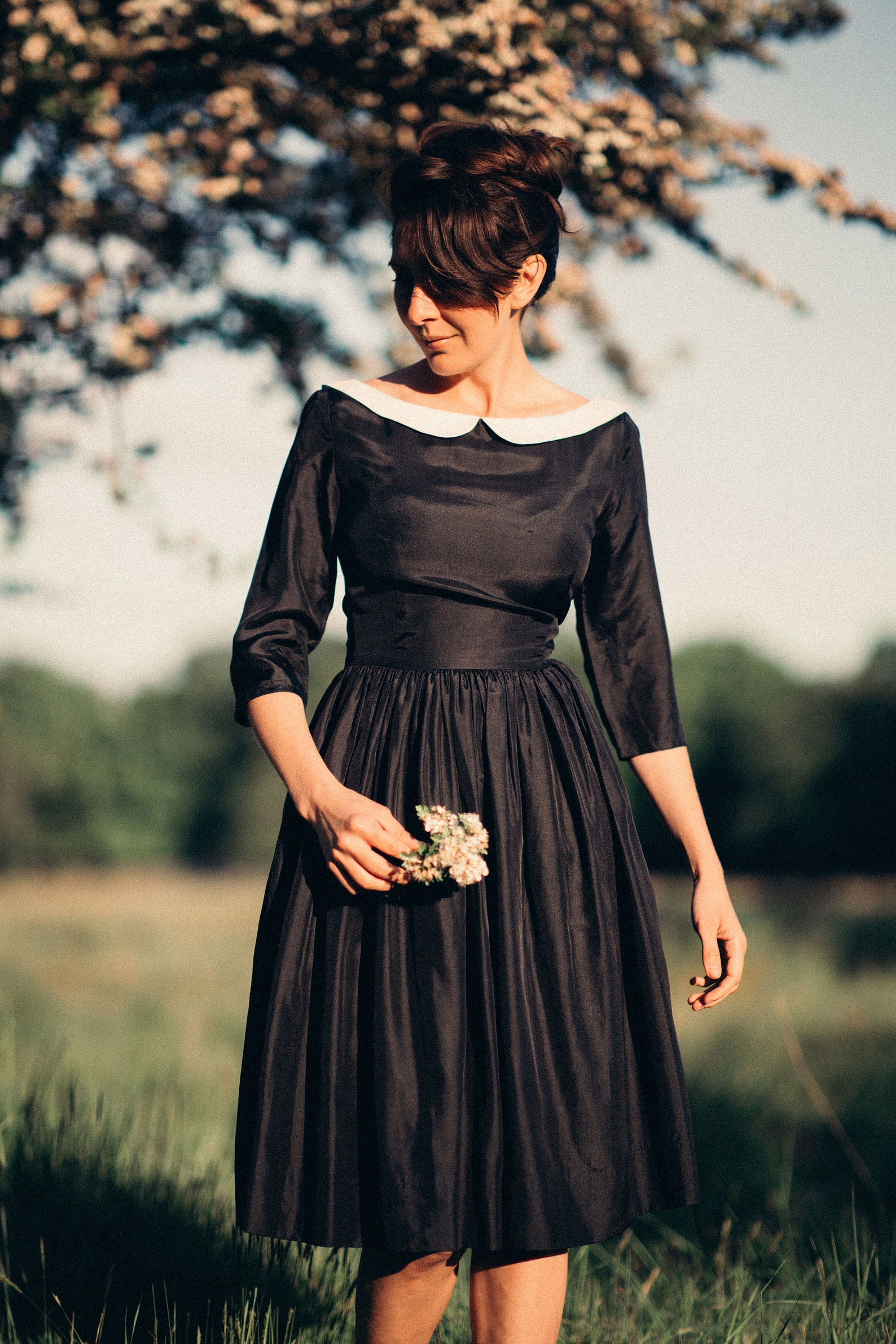 Silk Black Dress Collar Black Dress Fit and Flare Dress - Etsy