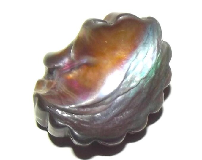 Antique Button ~ Realistic Shell Shaped Abalone Pearl Button - Etsy