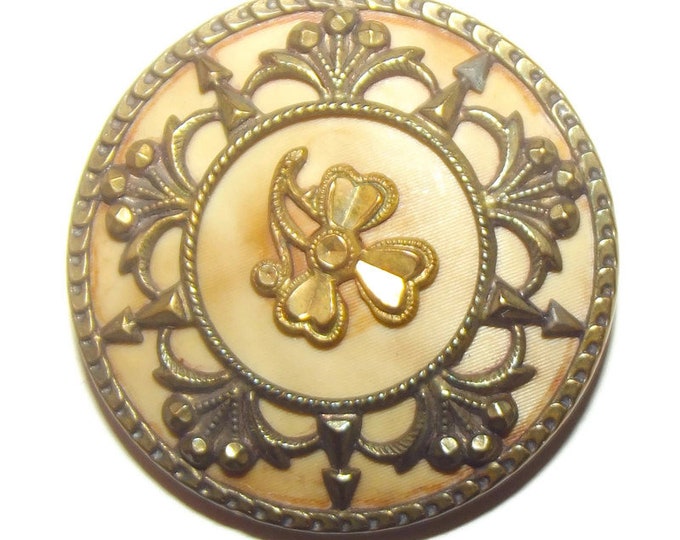 Antique Button ~ Large Antique Metal & Celluloid Button W/ Metal Border ...