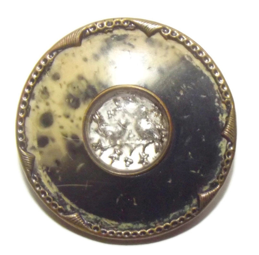 Antique Button Rare and Unusual Intaglio Glass Birds in Celluloid in ...