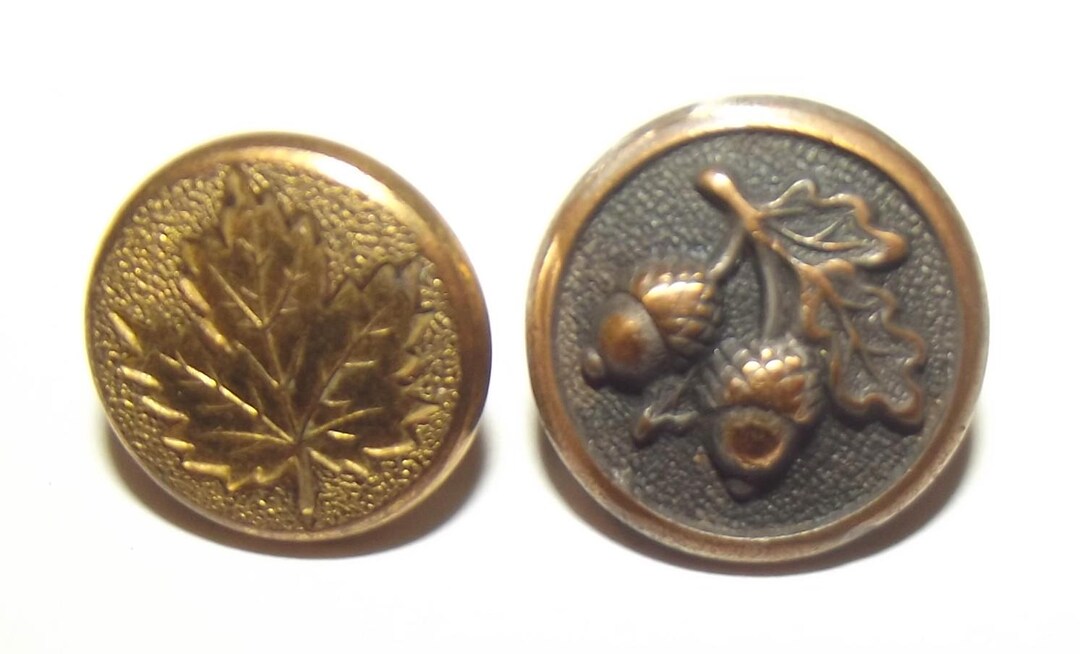 Antique Buttons ~ Metal Acorn & Maple Leaf Buttons D. Evans Back Mark ...