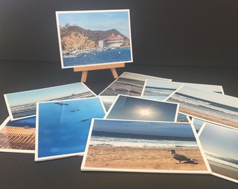 Seashells in a Jar Note Cards Beach Theme Summer Beach - Etsy