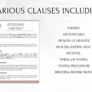 Stud Dog Contract Template | Editable Dog Breeding Agreement Form | Breeding Services for Stud ...