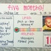 PRINTABLE "baby's First Year" Monthly Cards for Project Life - PINK - Etsy