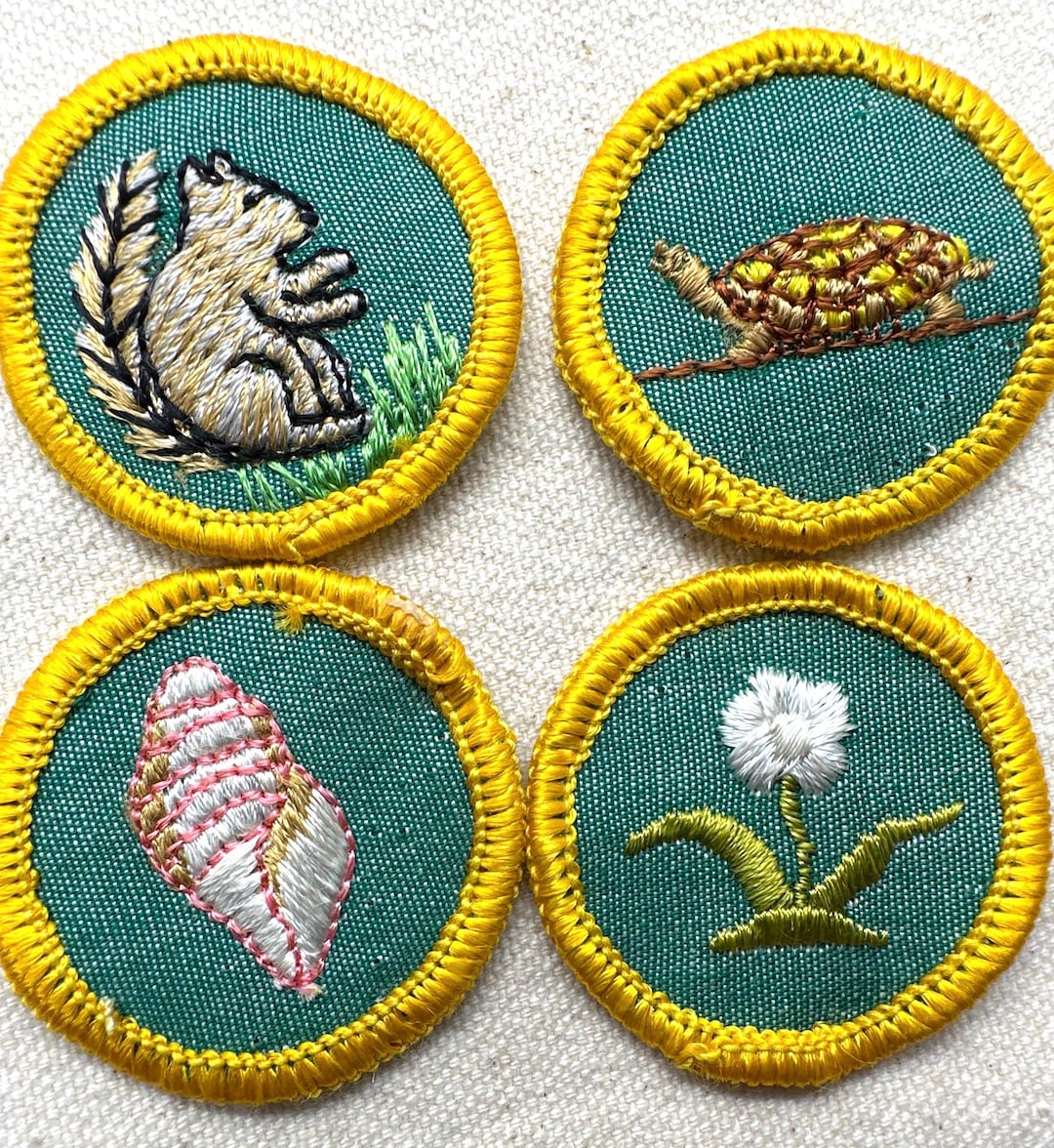 Vintage 1963-1974 Girl Scout RETIRED Cadette Proficiency Badges: 4 ...