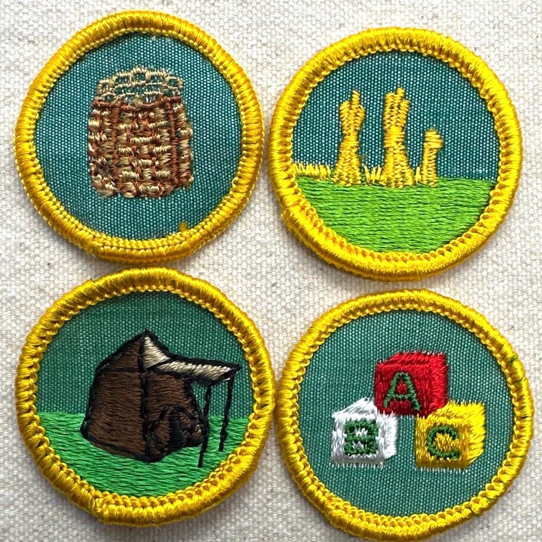 Vintage 1963-1974 Girl Scout Badges: RETIRED Cadette Proficiency ...
